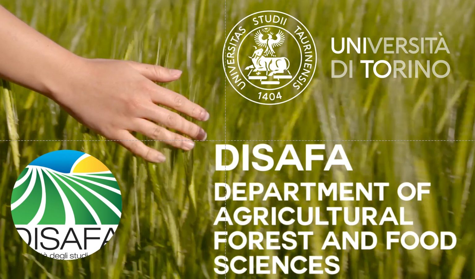 DISAFA - CROP PROTECTION TECHNOLOGY